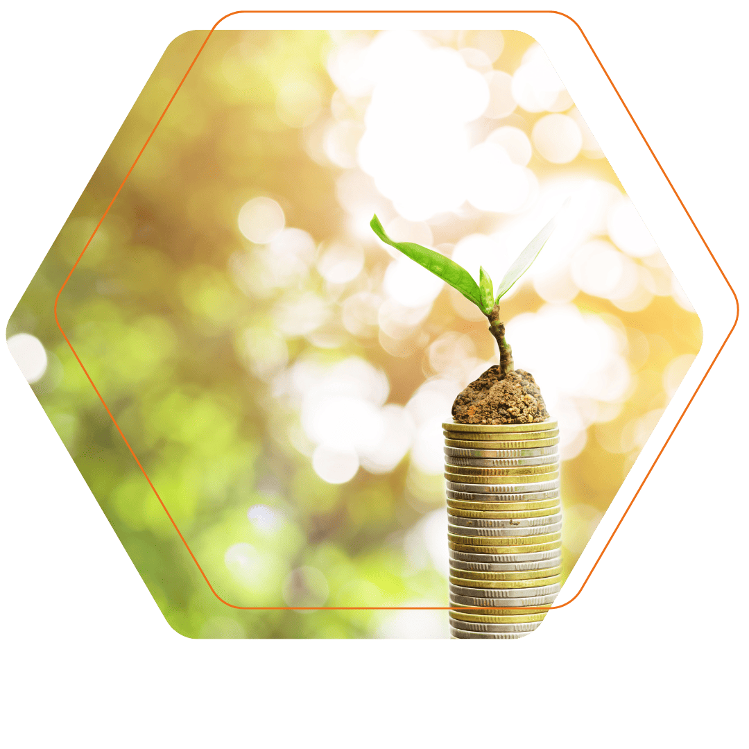 Optimizing IRR, Impact, Risk & Return | AMINDIS